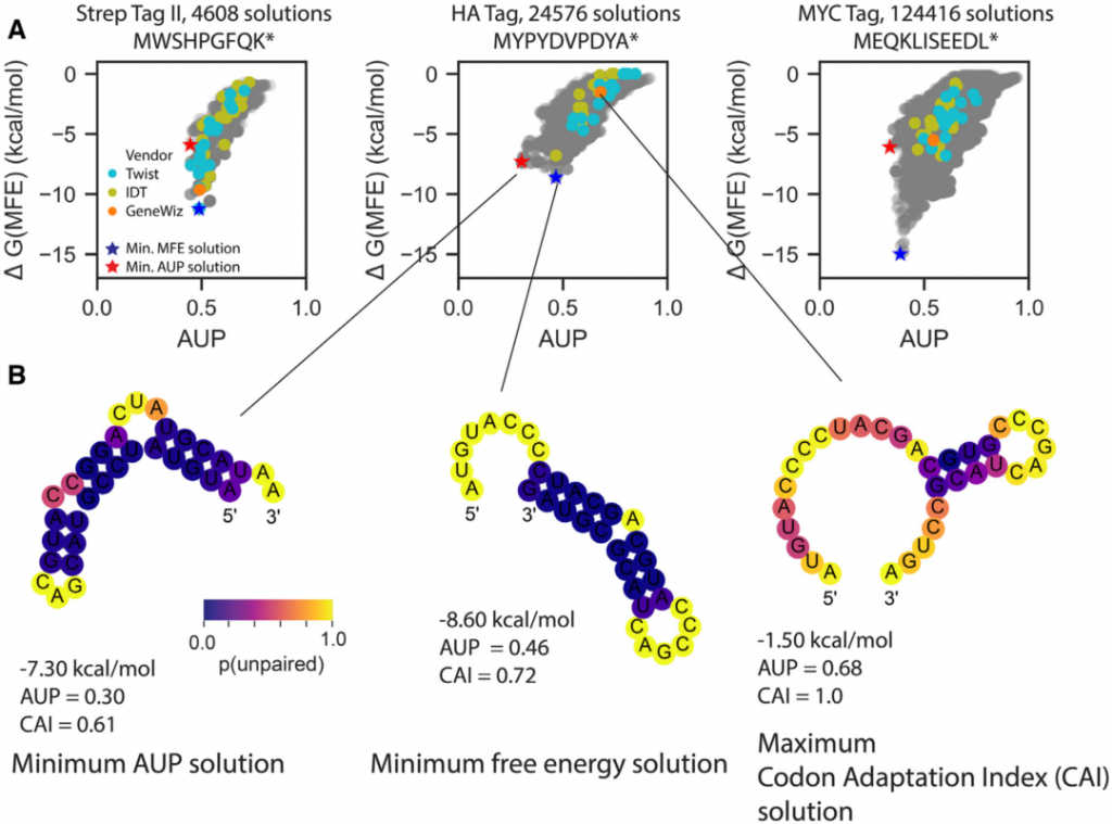中大唯信·唯信计算